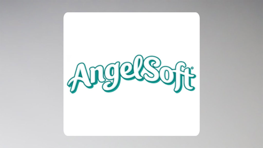 AngelSoft Angels in Action National Award | Searchkey