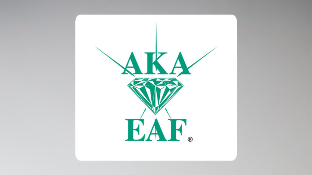 Alpha Kappa Alpha Educational Advancement Foundation Graduate ...
